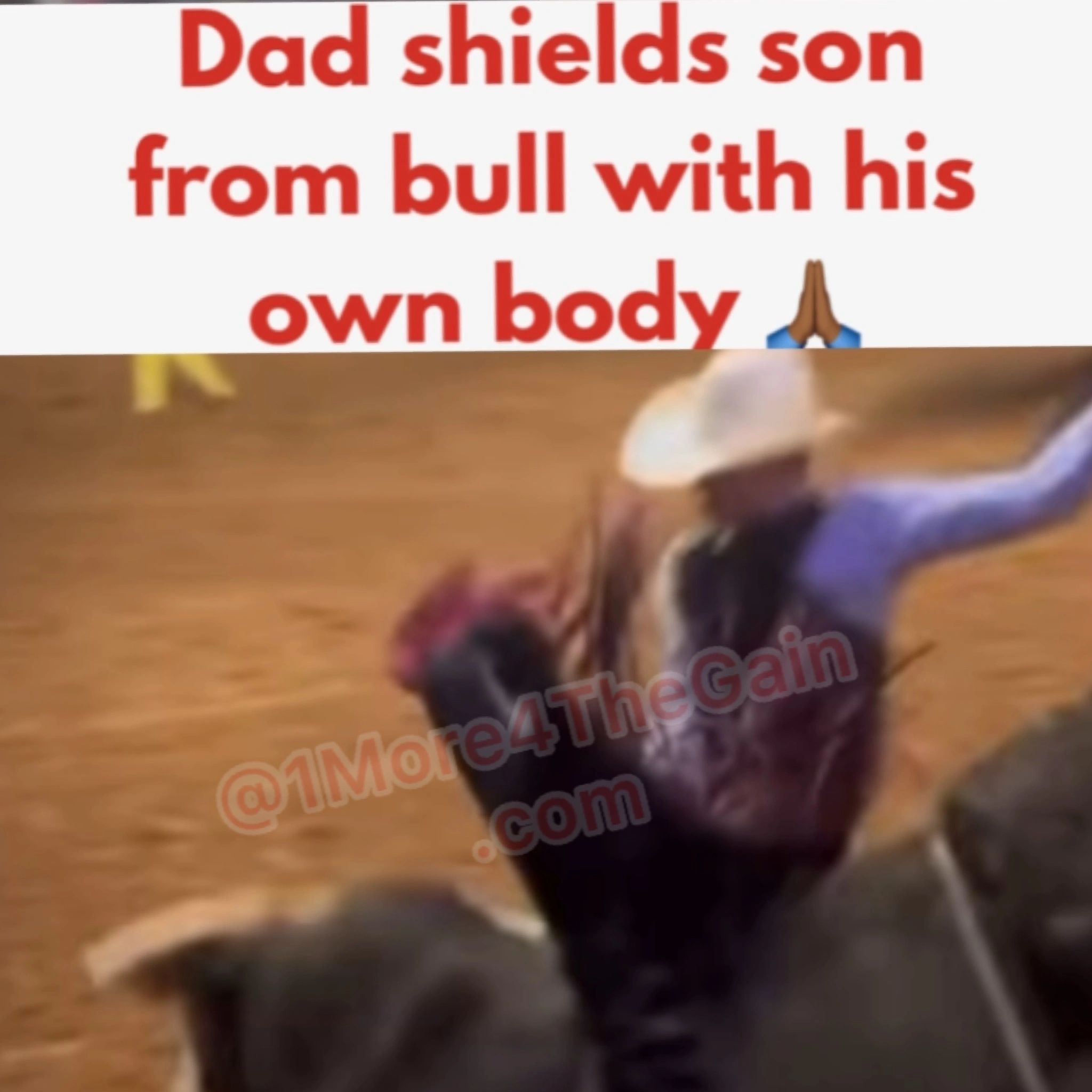 Dad shields son from bull with his own body