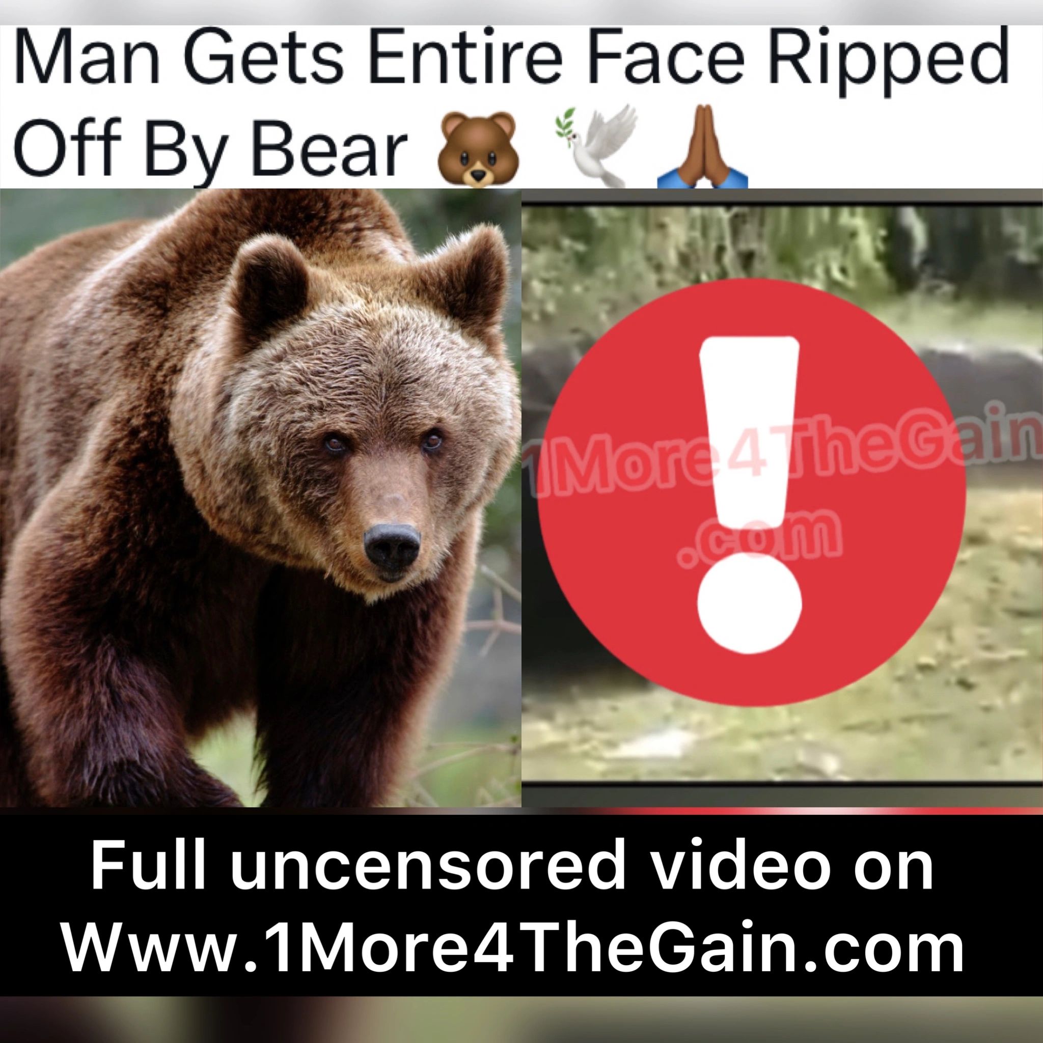 Man Gets Entire Face Ripped Off By Bear ️