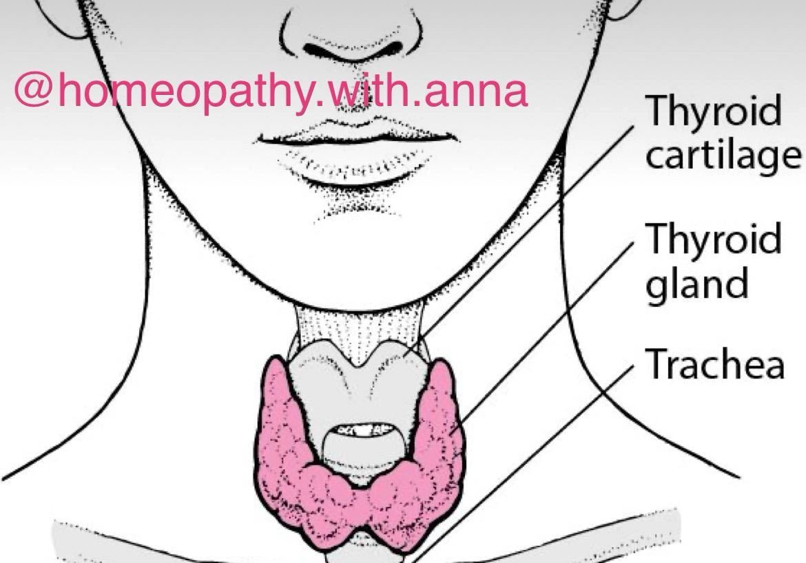 The Thyroid Gland, The Throat Chakra, Homeopathy & More…