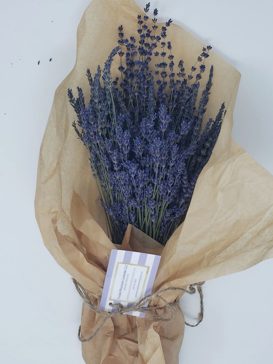 Lavender Bundle-order your 2025 bundle today!