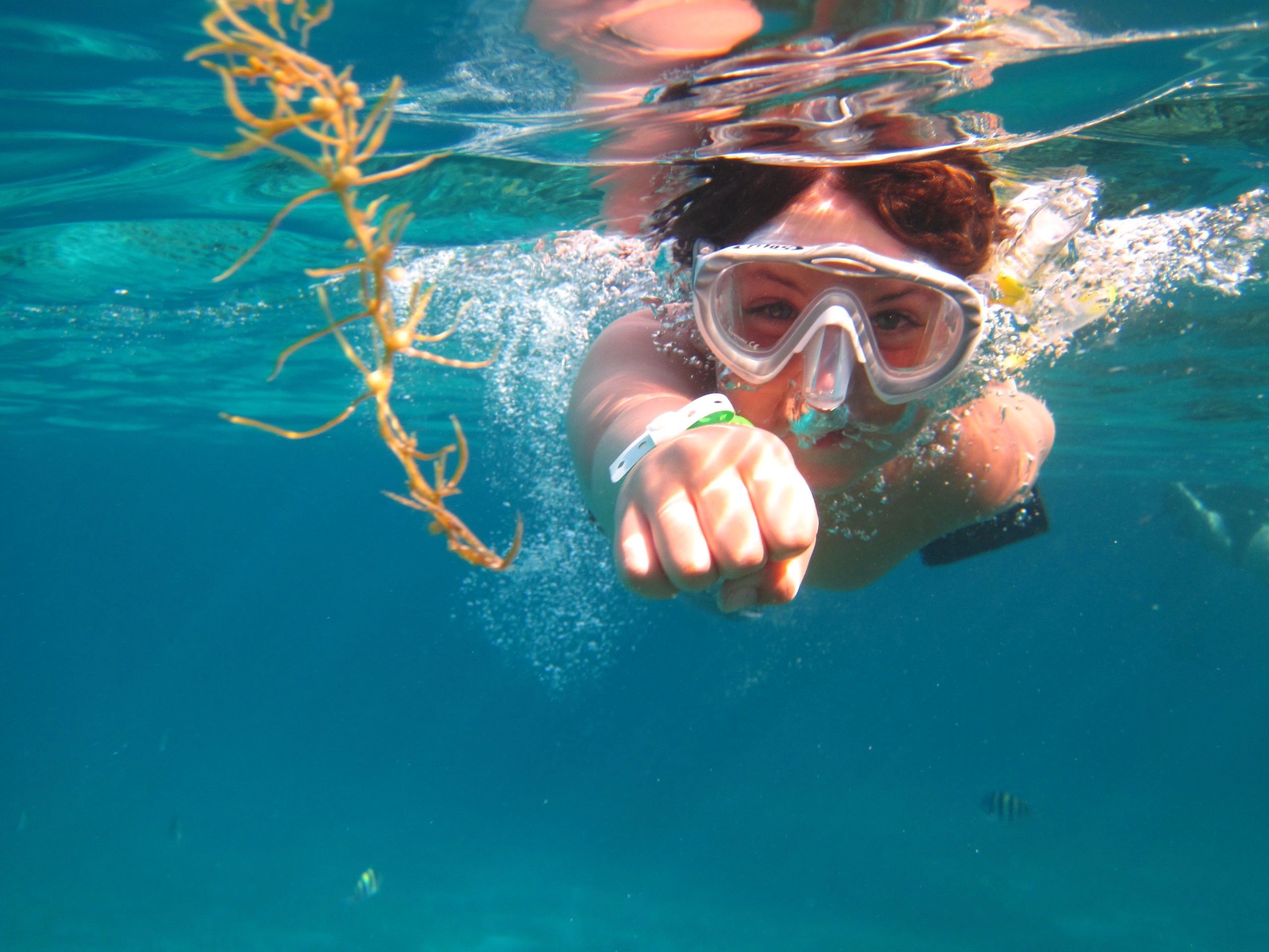 OCEANINLET.EARTH | OCEANINLET.EARTH