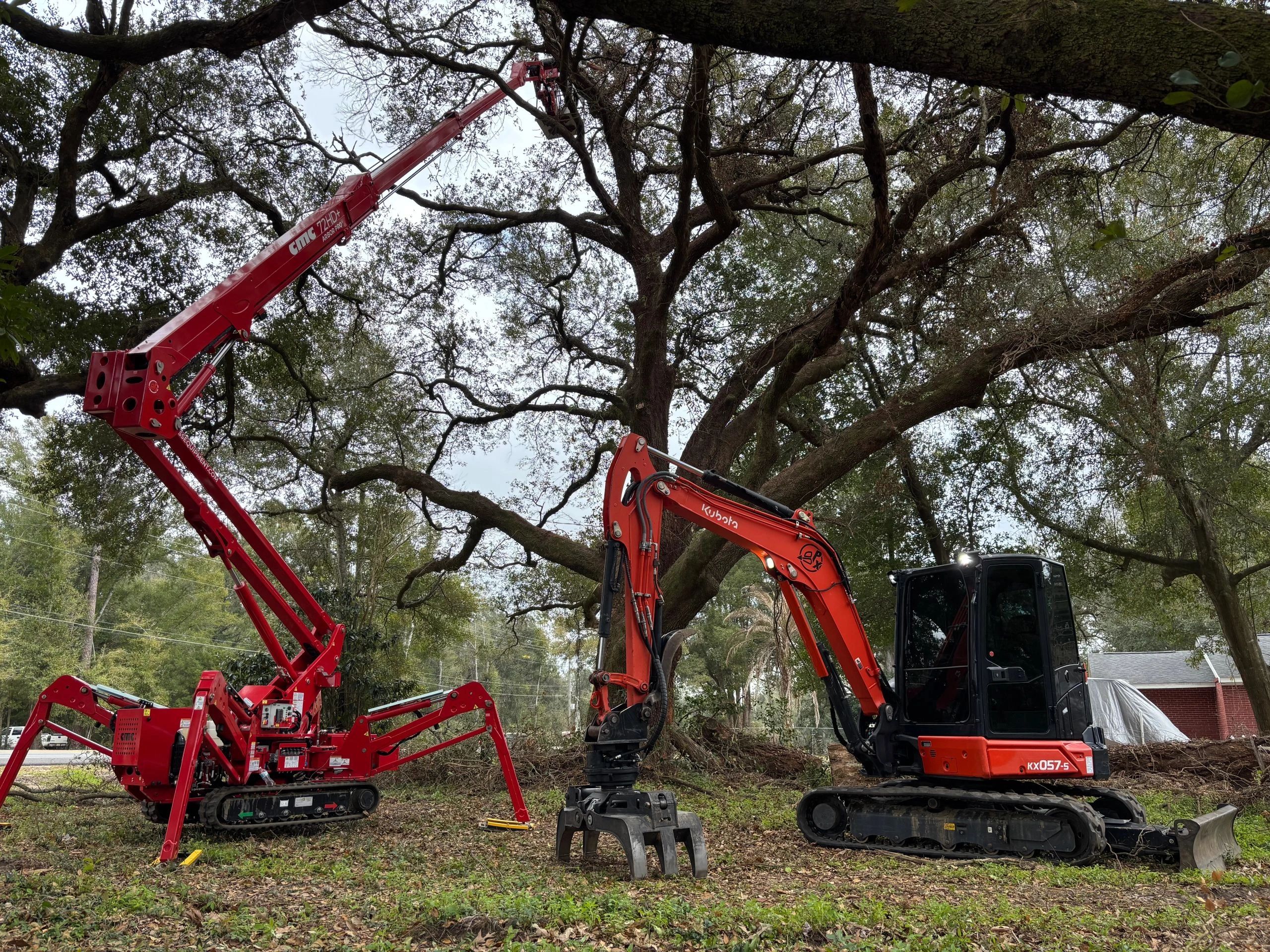 Precision Tree & Land