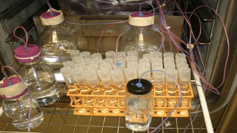 Thermal validation and Temperature and Relative Humidity Mapping