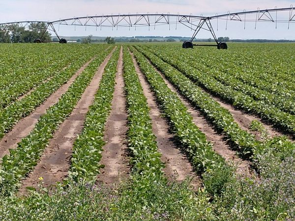AGvantage Inc.