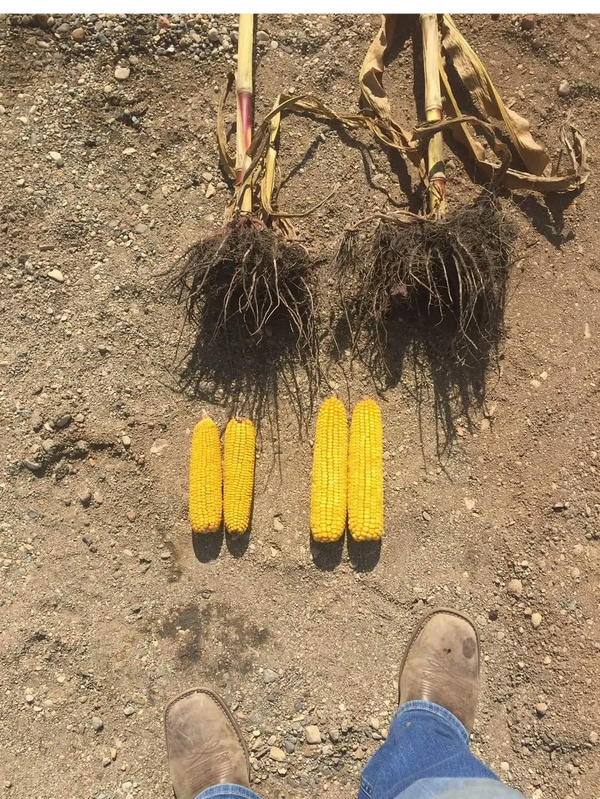 AGvantage Inc.