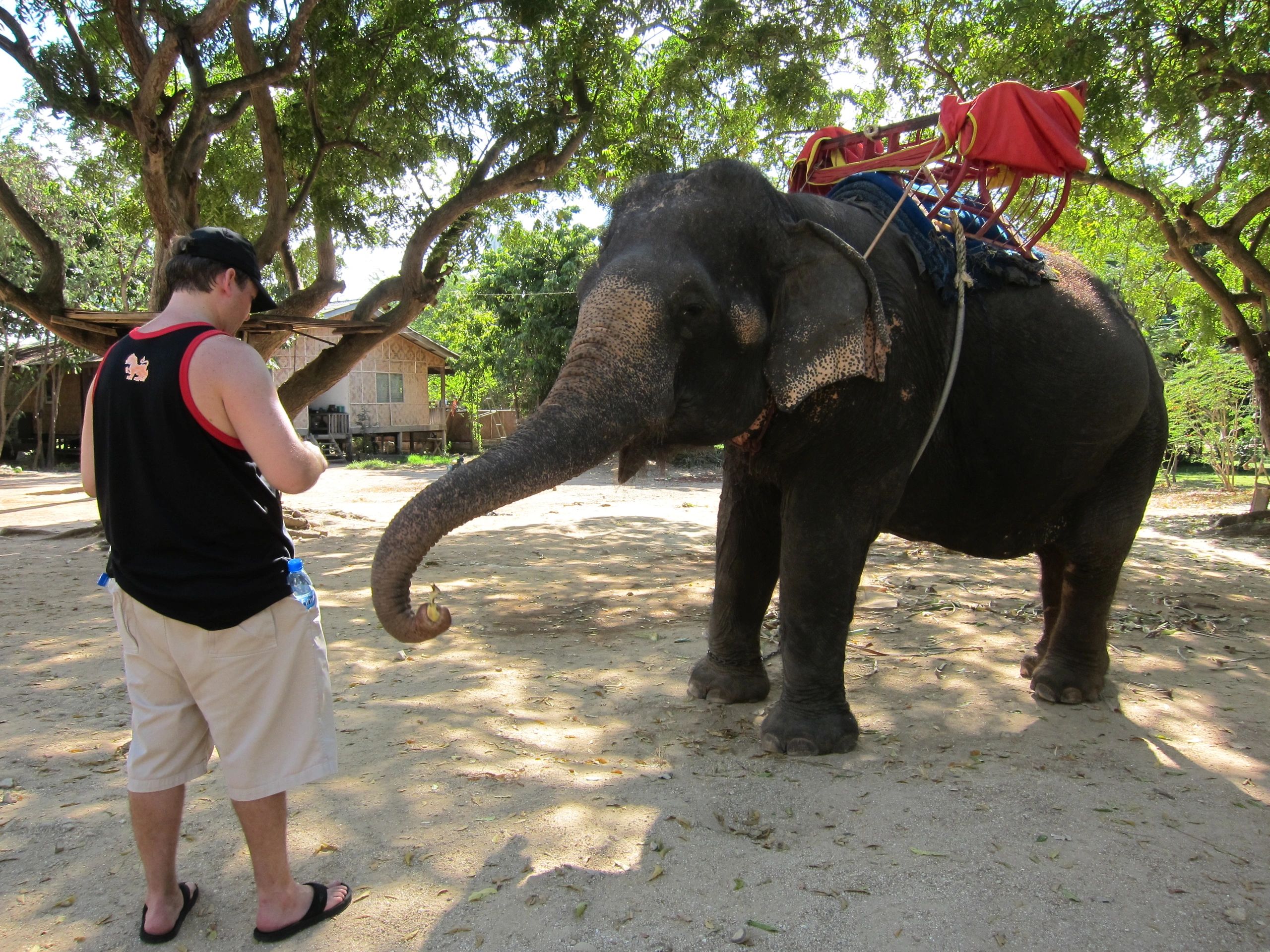 Jeremy Andrews | JAweb.com