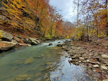 Ozark Ridge Campground