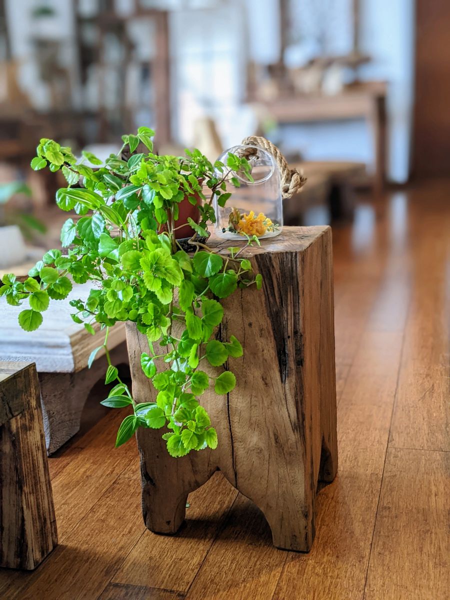 BANCA MADERO RUSTICO