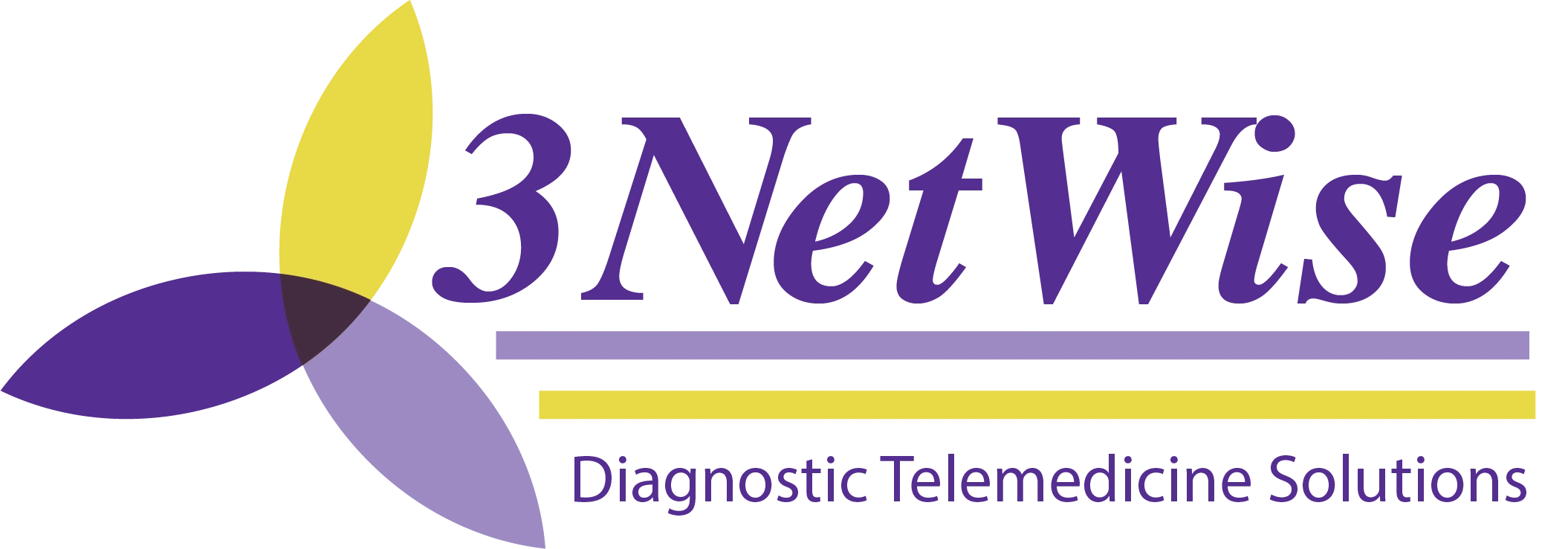 3 Net Wise, Inc.
