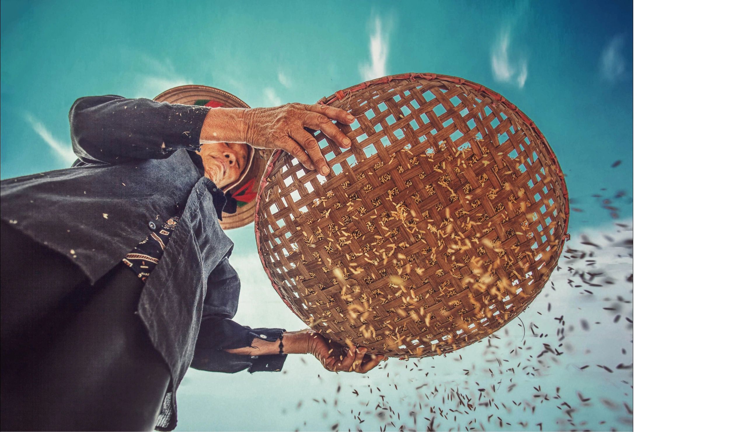 Ethical Sourcing Review