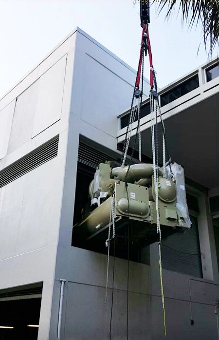 VTM Professional Services