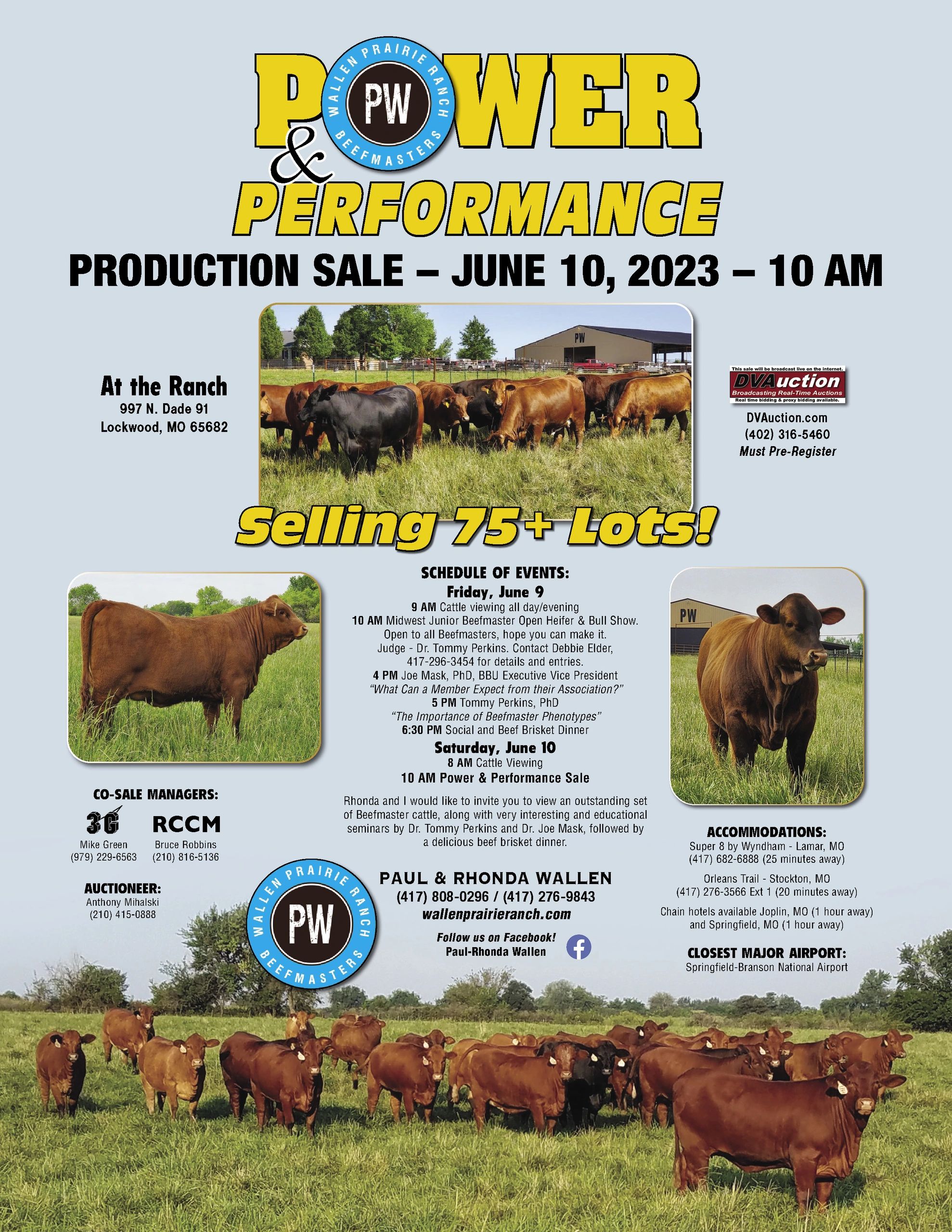 Wallen Prairie Ranch - Beefmaster, Cattle, Bulls, Heifers