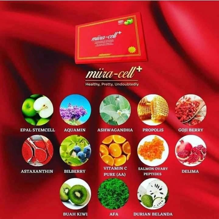 WHAT IS MIIRACELL PLUS