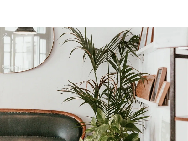 Real Estate Services | 110 Realty Group