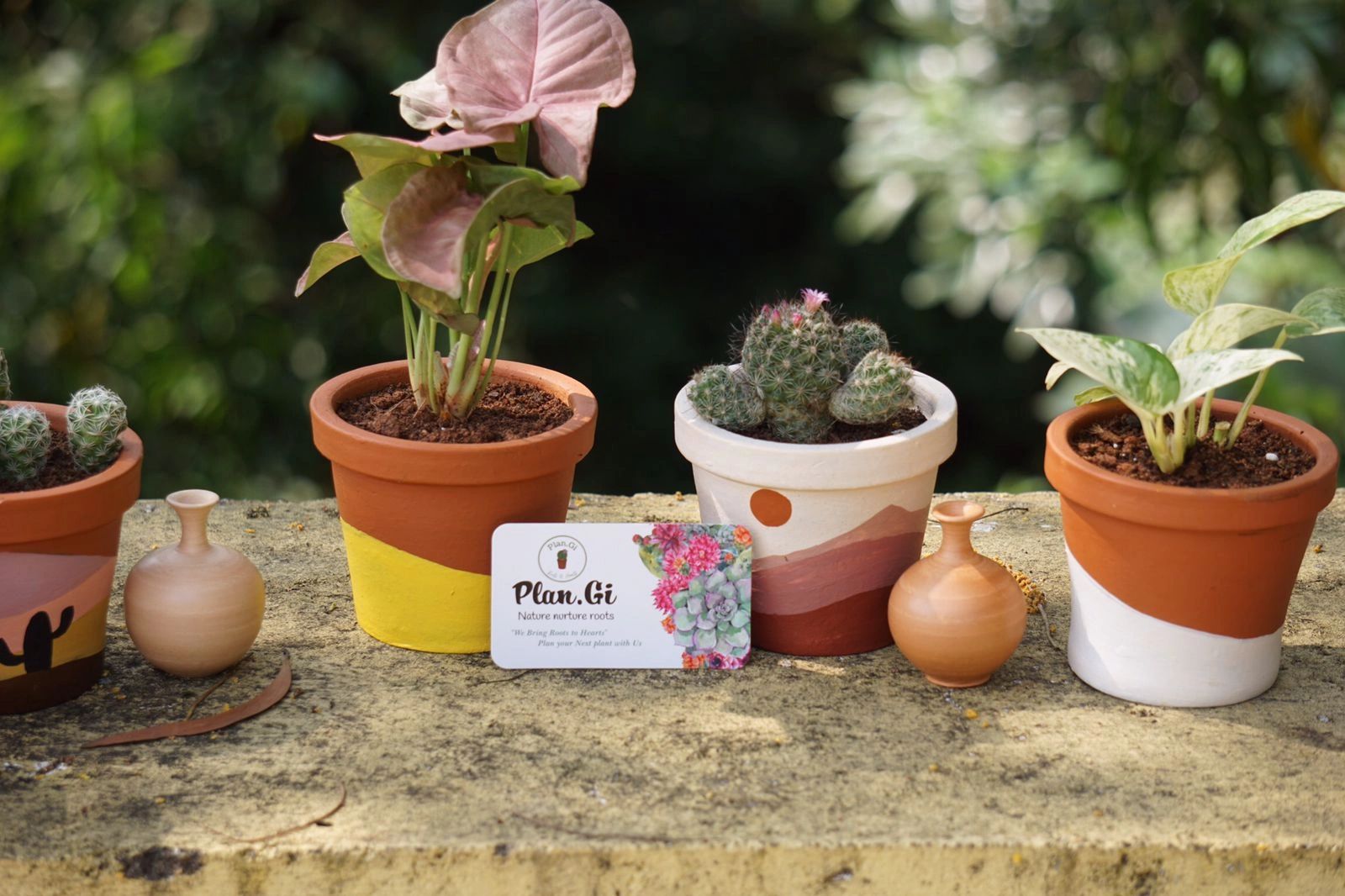 Plangi Green Gifting LLP