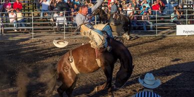 Cheney Rodeo
