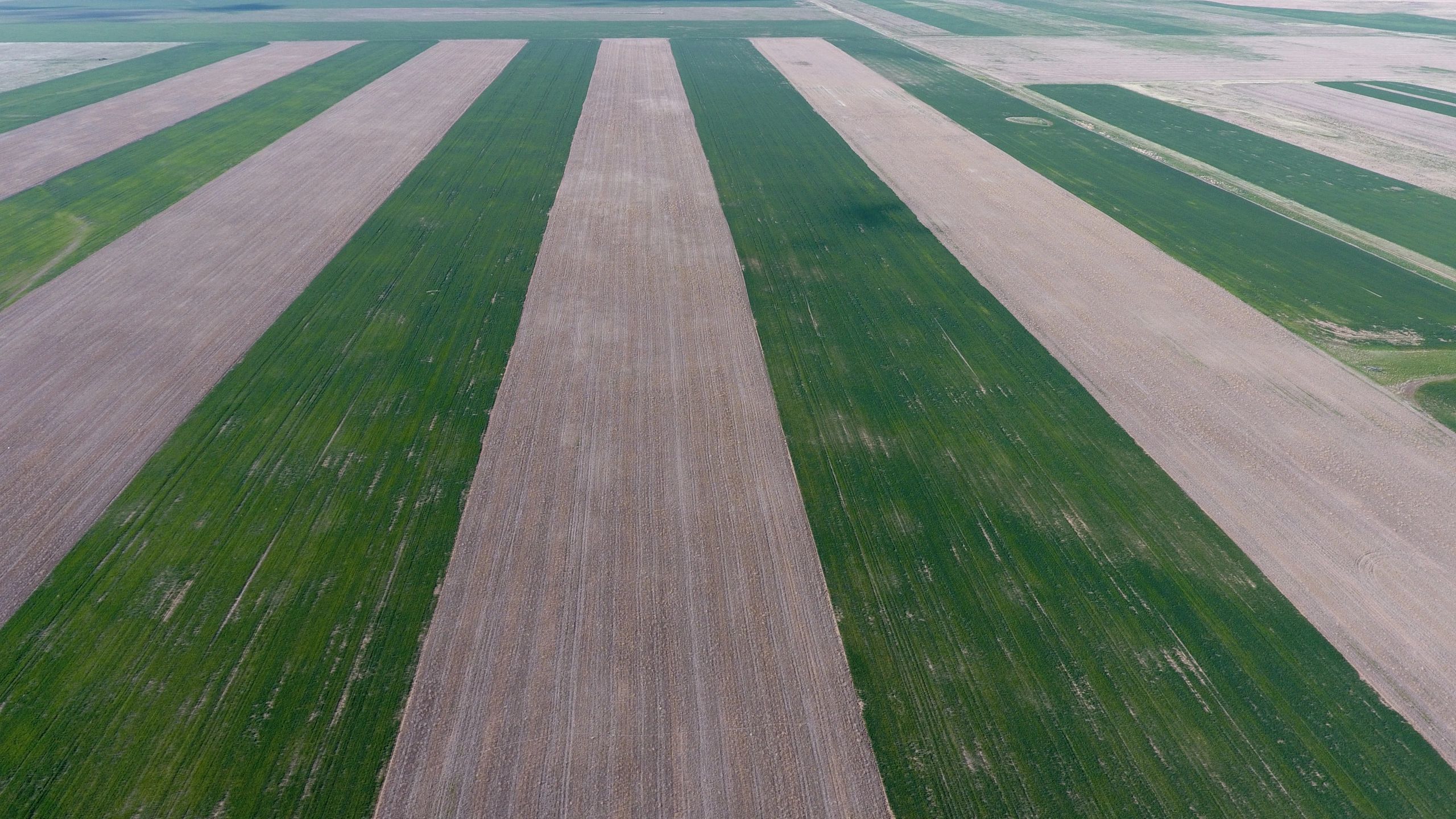 Maximizing Farm Profitability with Advanced Fertilizer Technology