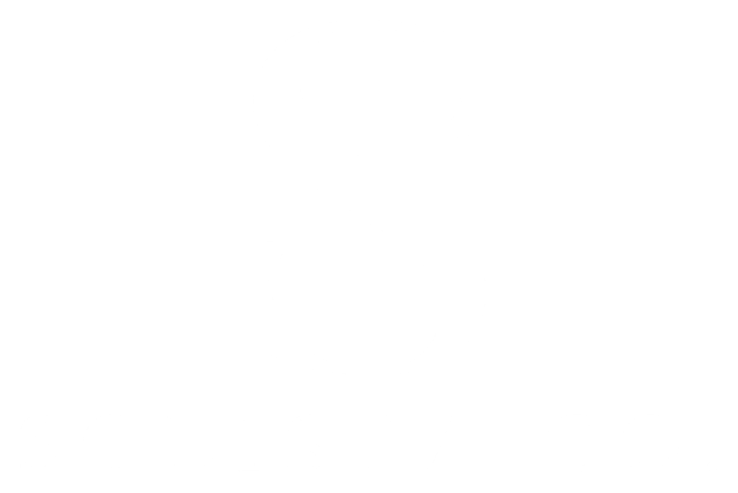 Solista Company