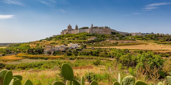 MALTA FUN TRAINS - Tour-Guide, Tour, Train Tour