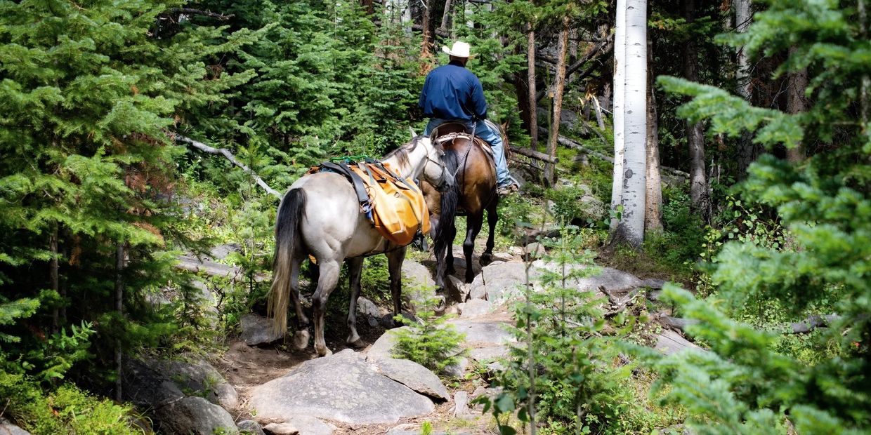 Woodland Conservation Fund