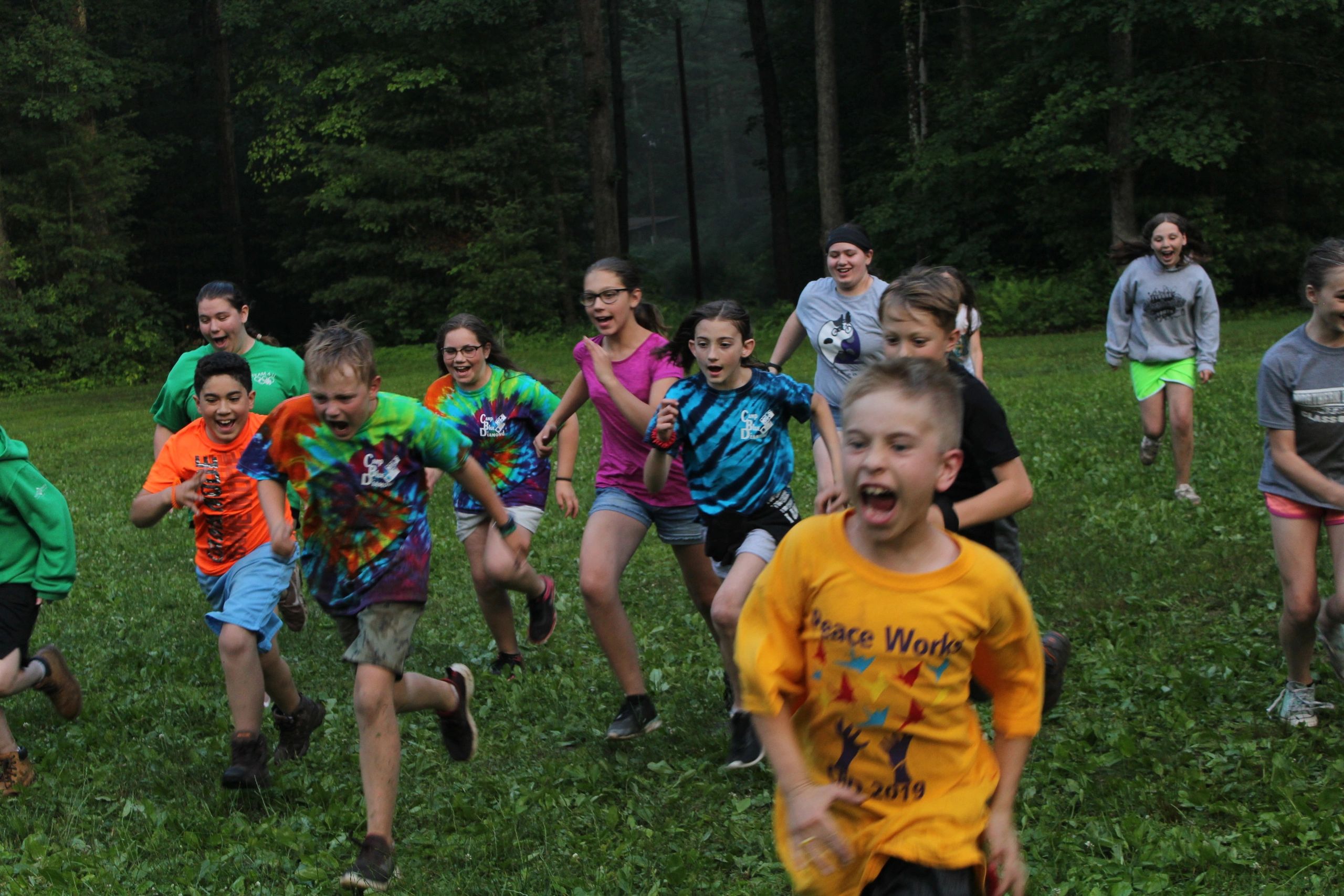 Home [campbluediamond.org]