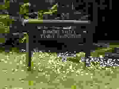 RV Campground | Camp Blue Diamond Inc.