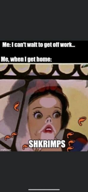 Shrimp Meme