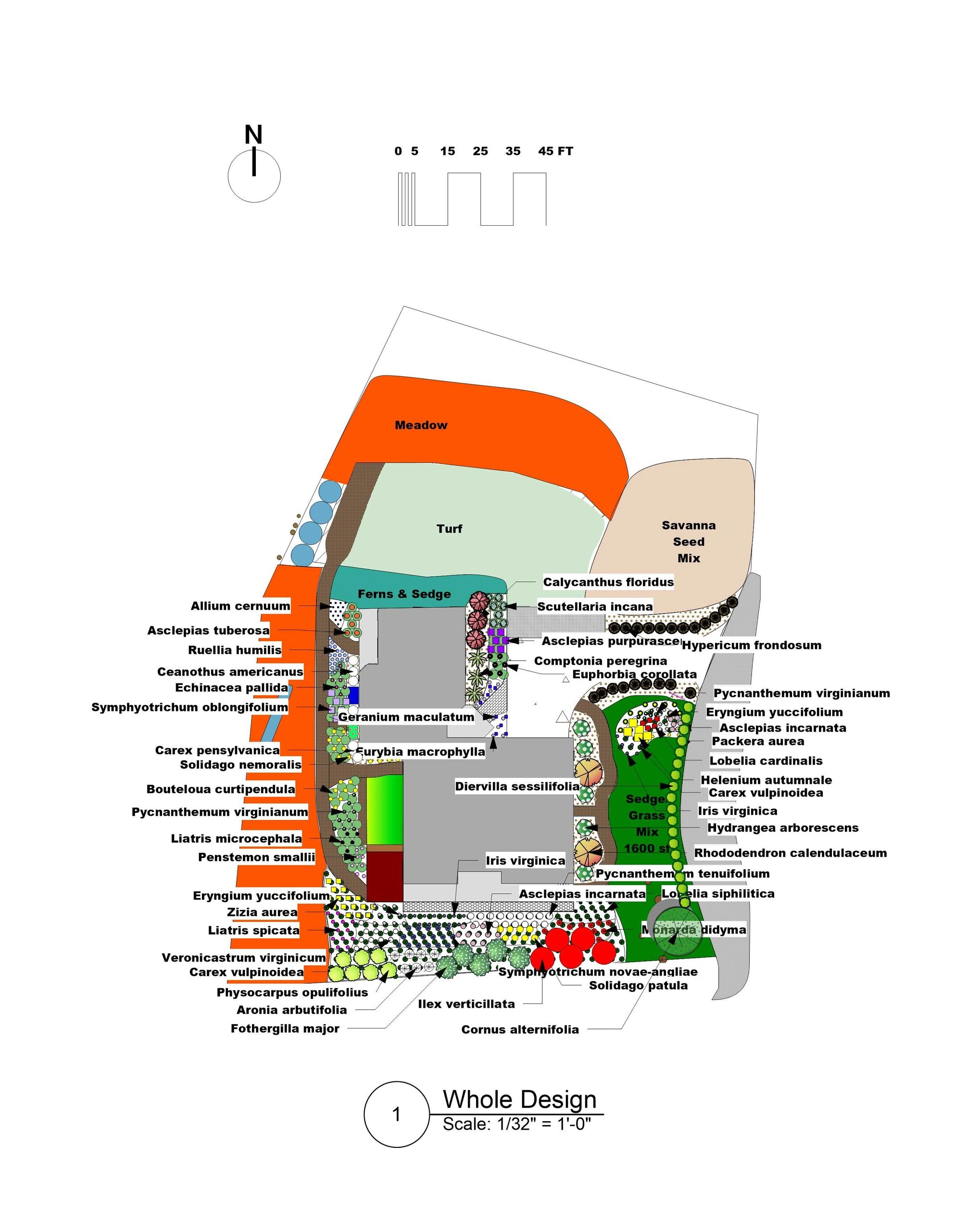 Native Landscape Plan