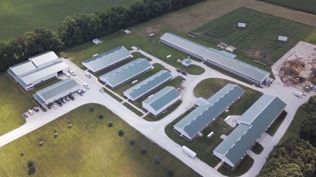 Research Capabilities