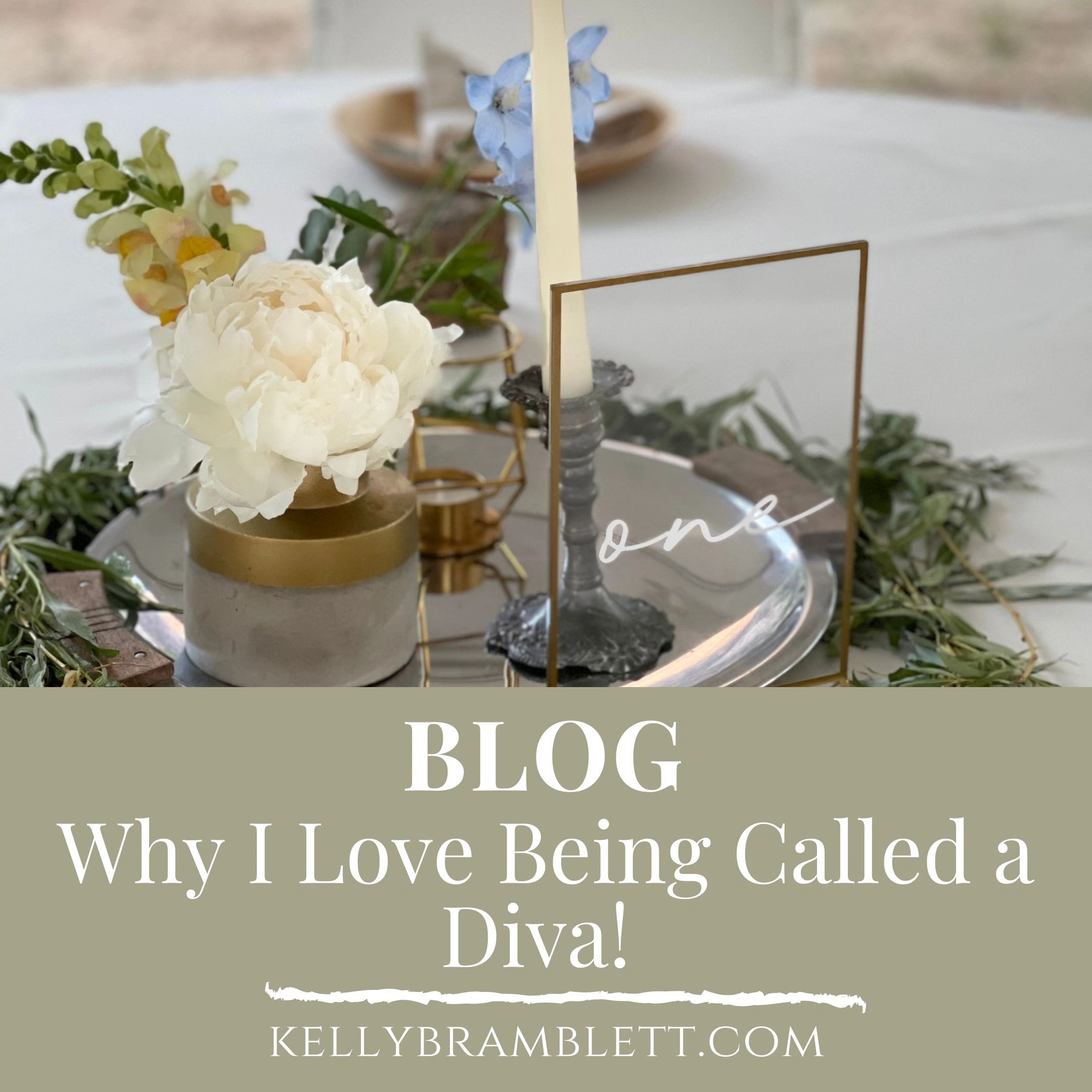 Why I Love Being Called a Diva & Why I Beleive You Should Too!