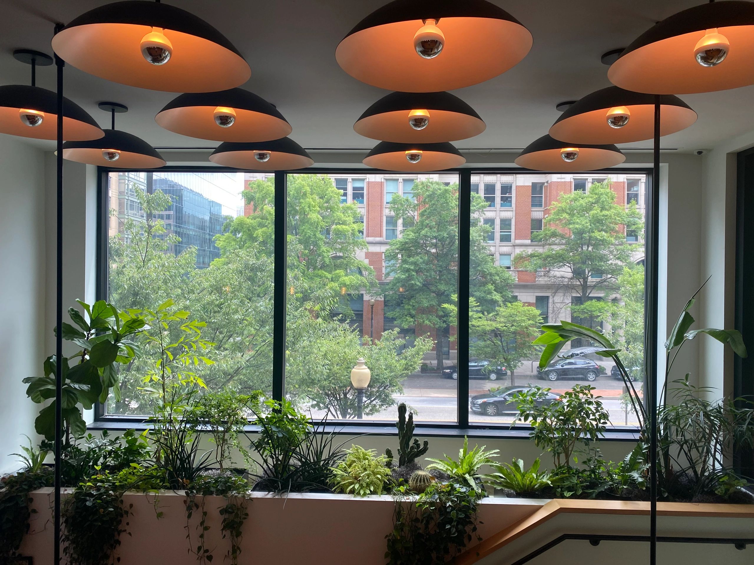 JW Development services