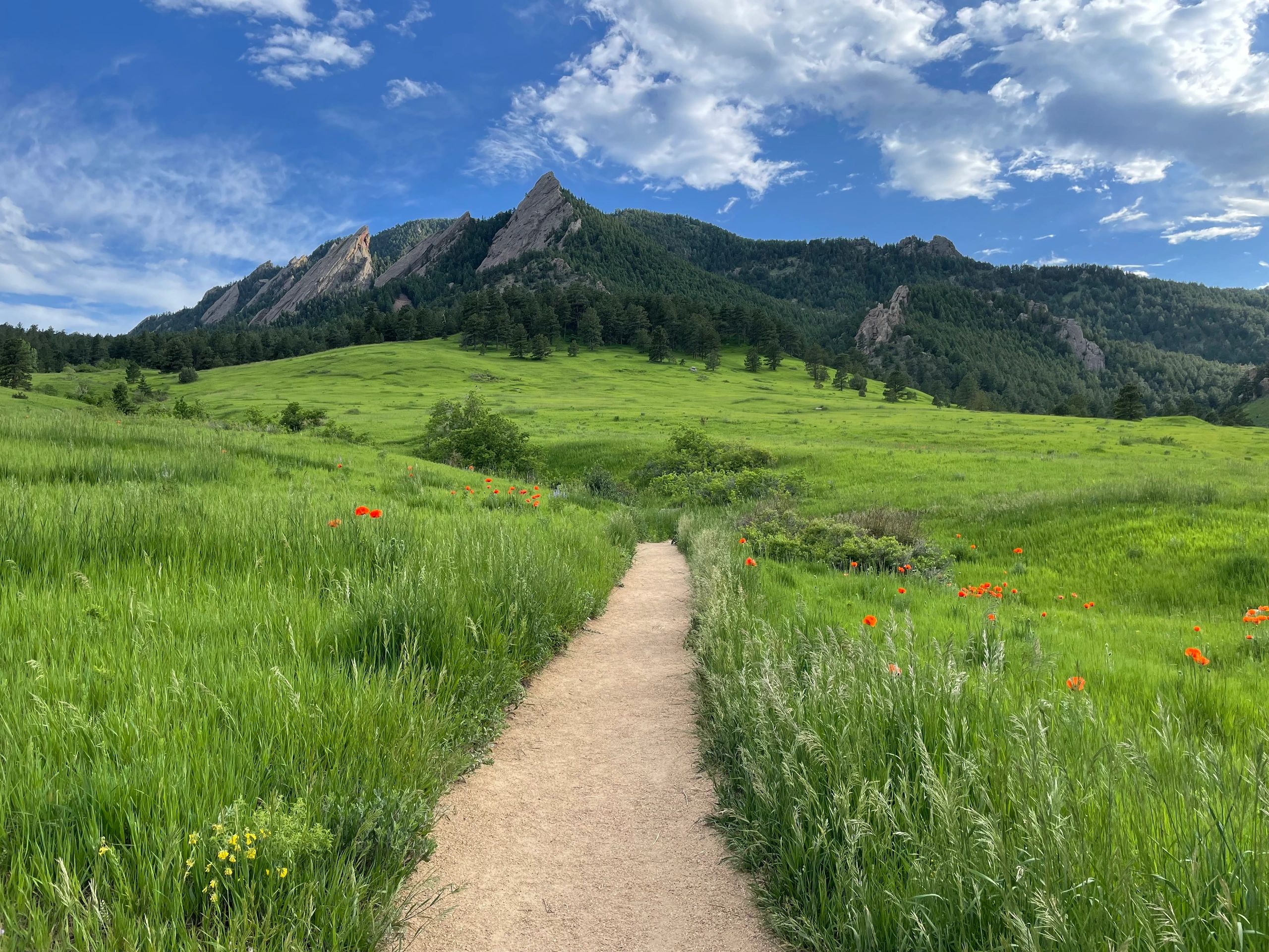 Spiritual Advisors Unlimited