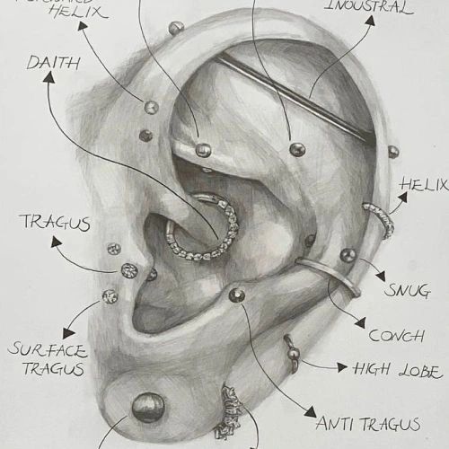 Best Kept Secret Exotic Piercing - Steamboat Springs
