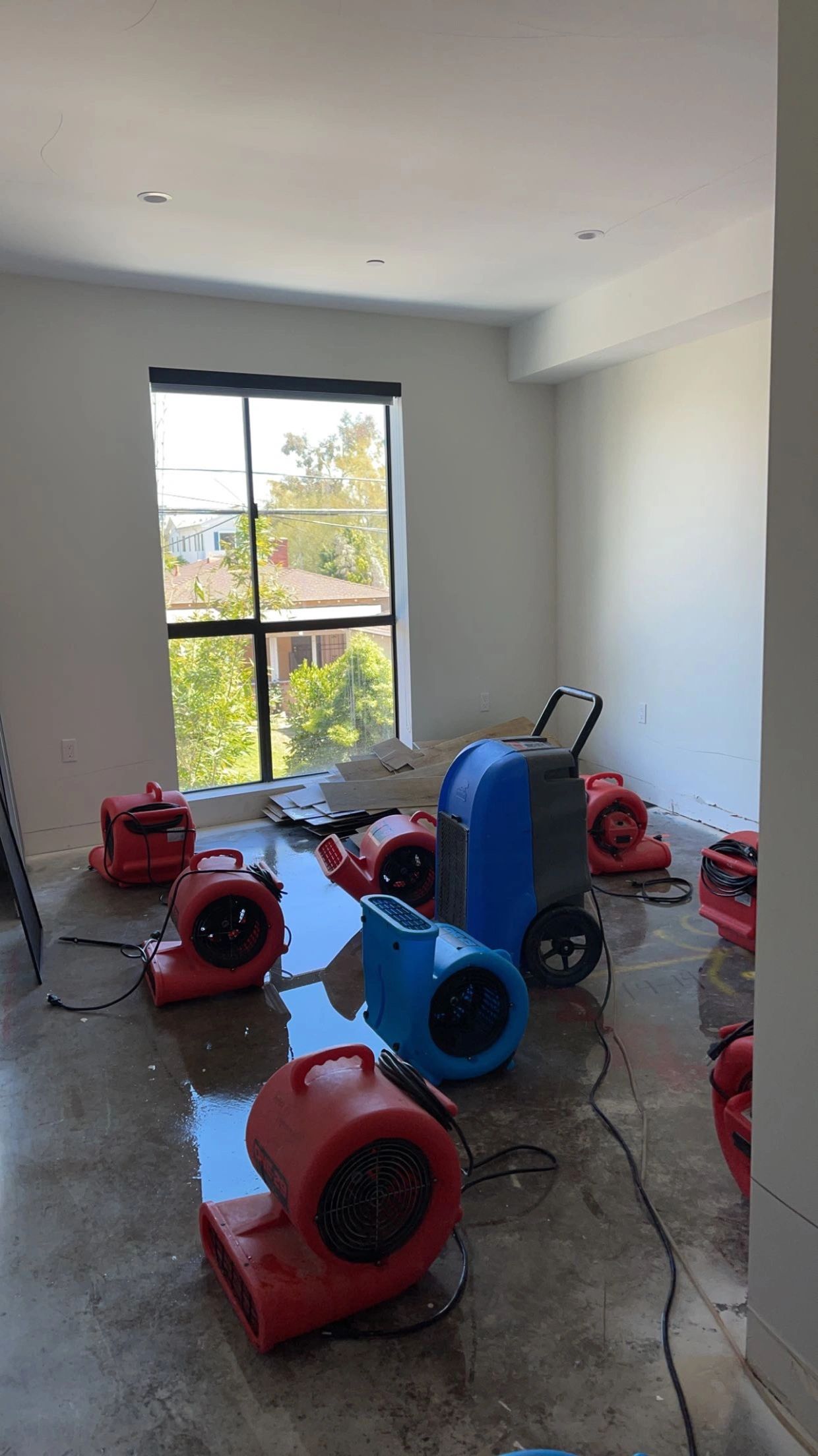 Expert Mold Remediation Services | KingMasterWaterDamage
