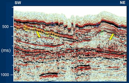 Lecture 1: Petroleum play concept