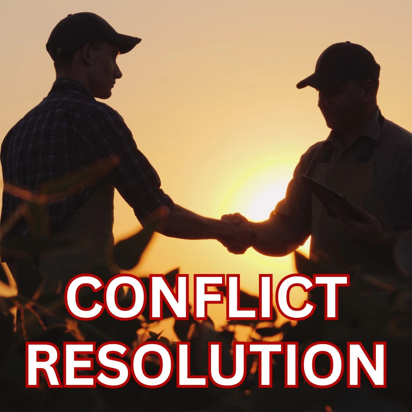 Conflict Resolution: The 7-Step LOGOS Bible Approach
