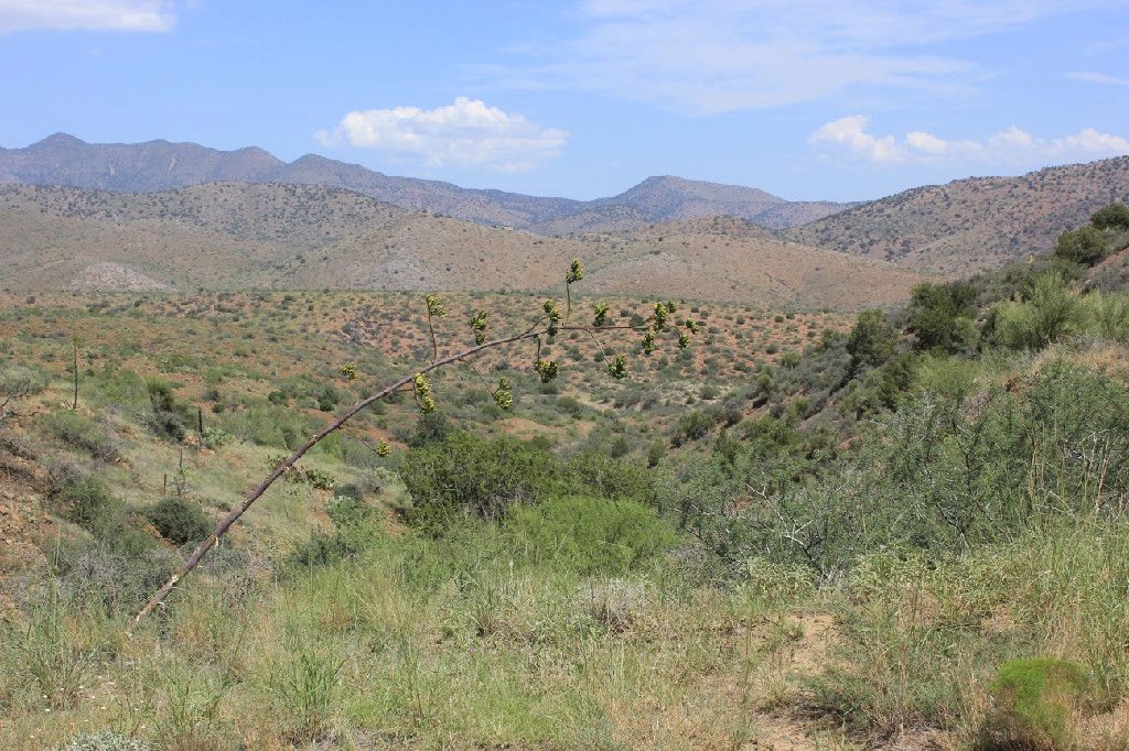 Globe Copper Canyon Ranches