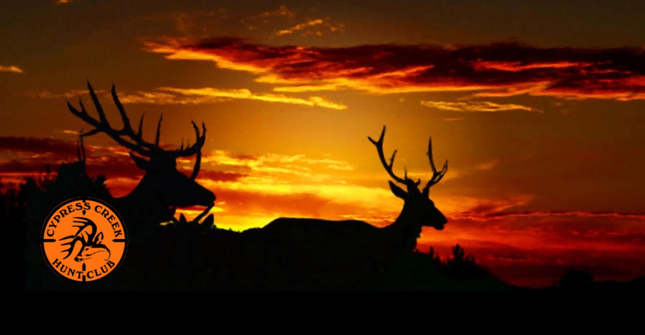 Cypress Creek Hunt Club - Outdoors, Hunt Deer, Hunt Turkey