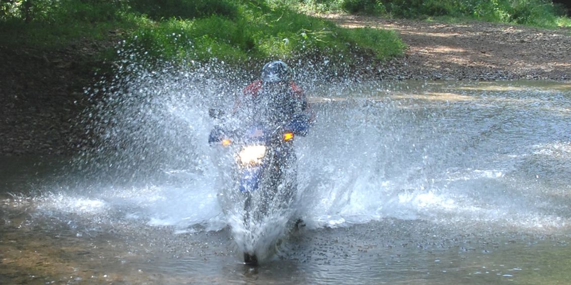 Dual Purpose Tennessee