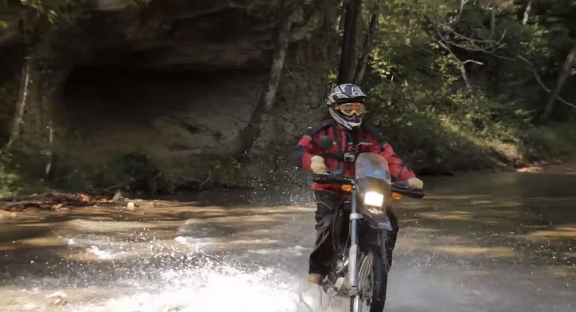 Dual Purpose Tennessee