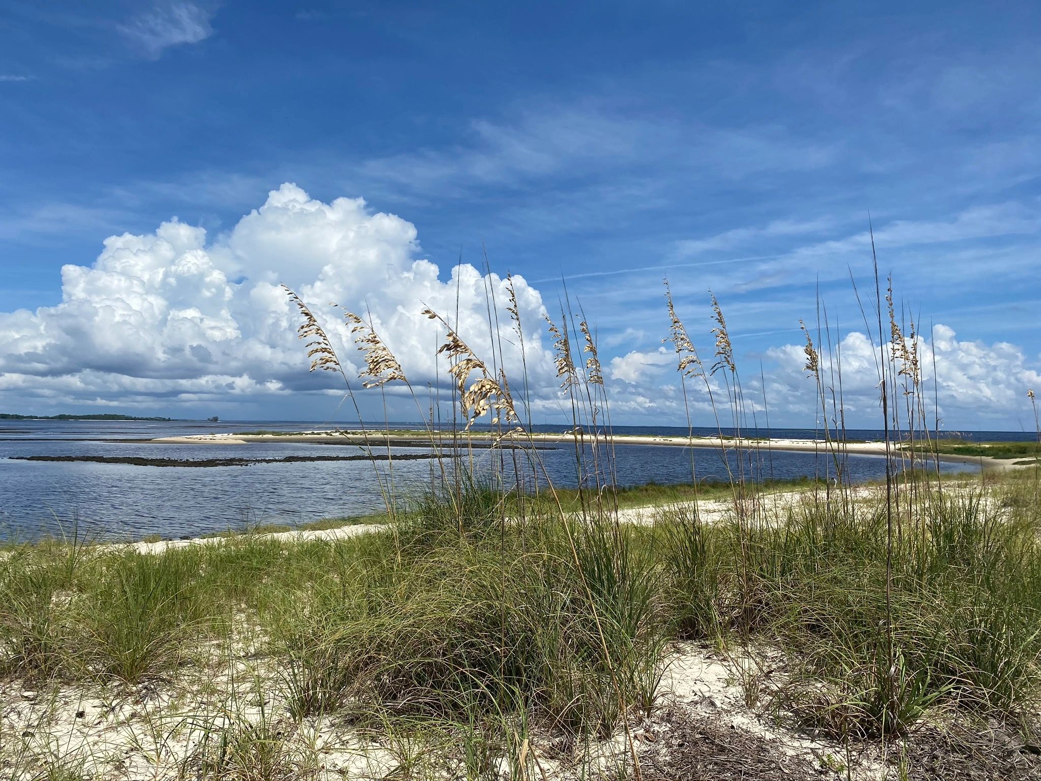Escape To Bald Point: Florida's Hidden Gem For Nature Lovers