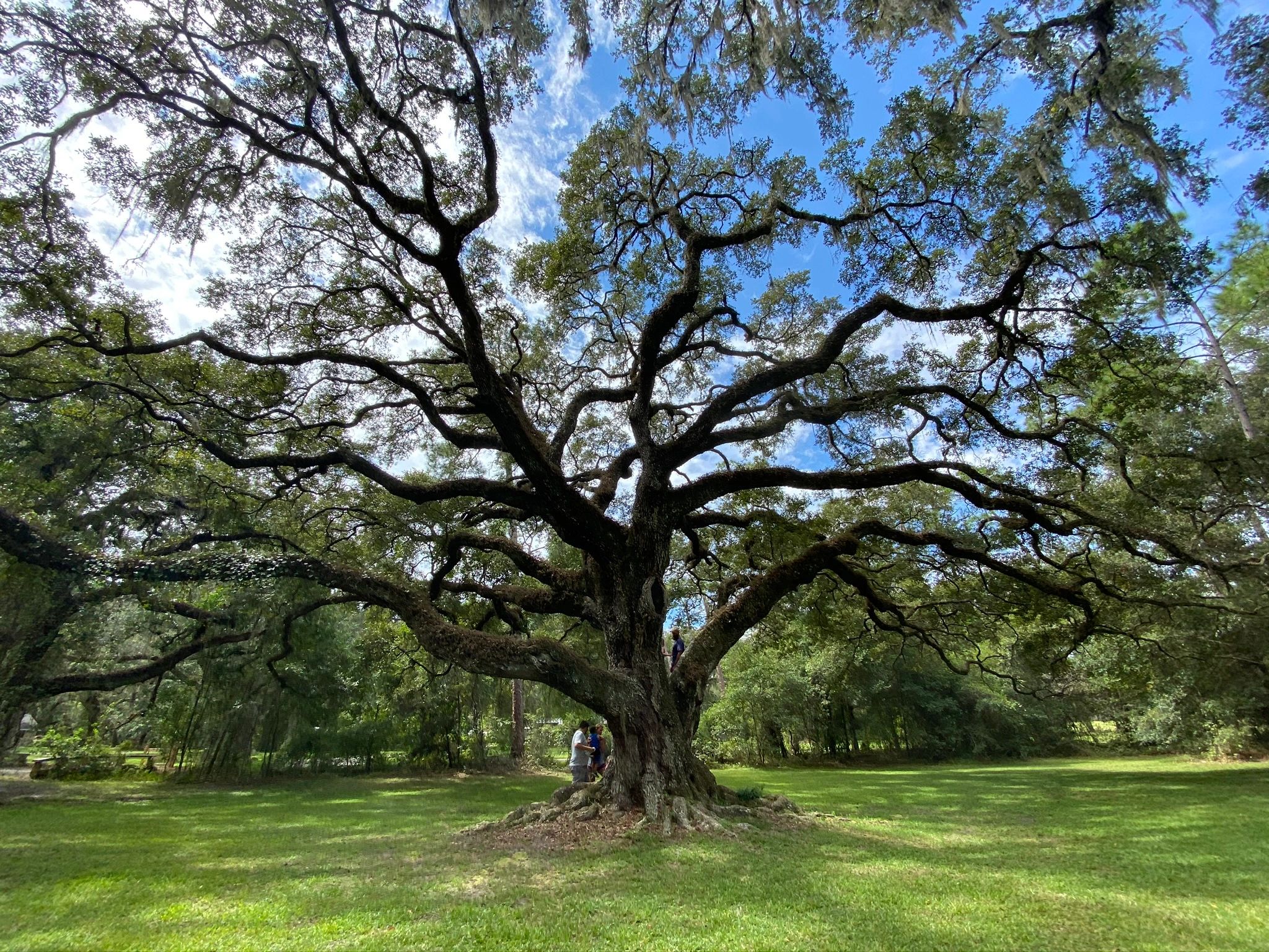 Encounter History and Heritage at Dade Battlefield State Park