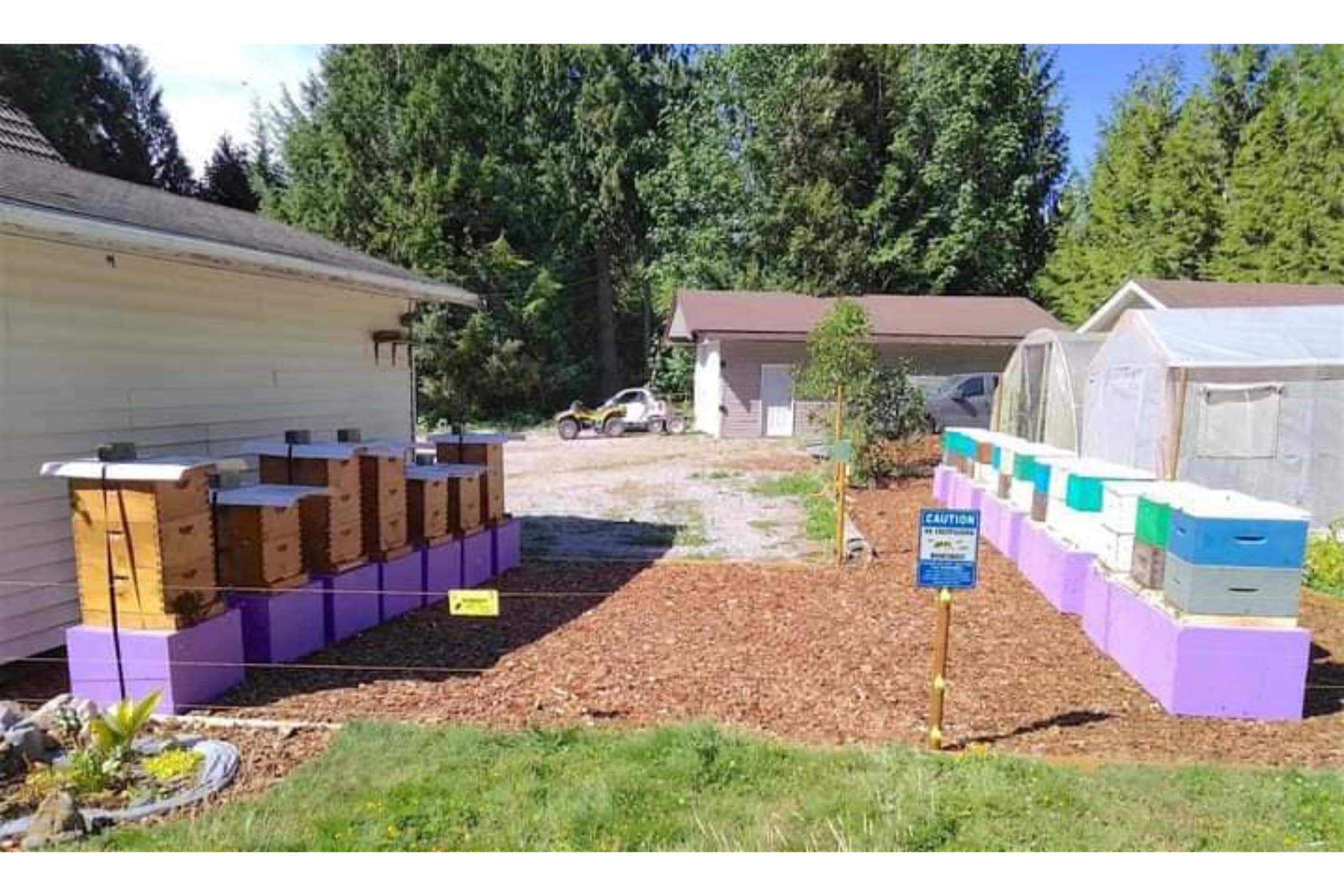 Maple Acres Apiary