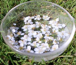 How Flower Remedies work