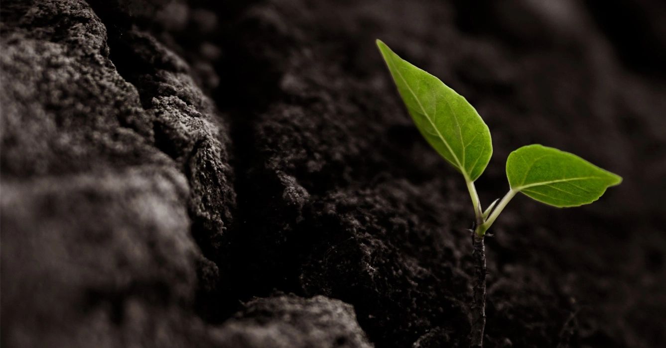 How to stay Grounded and Present