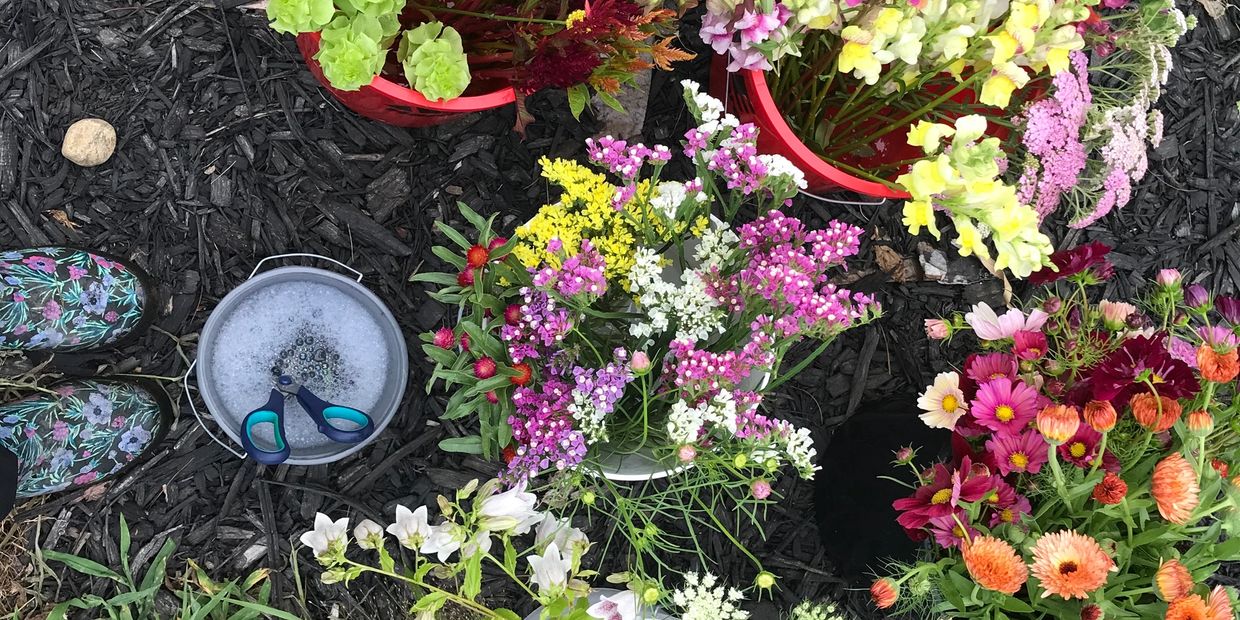 About | Rooted Flowers and Goods