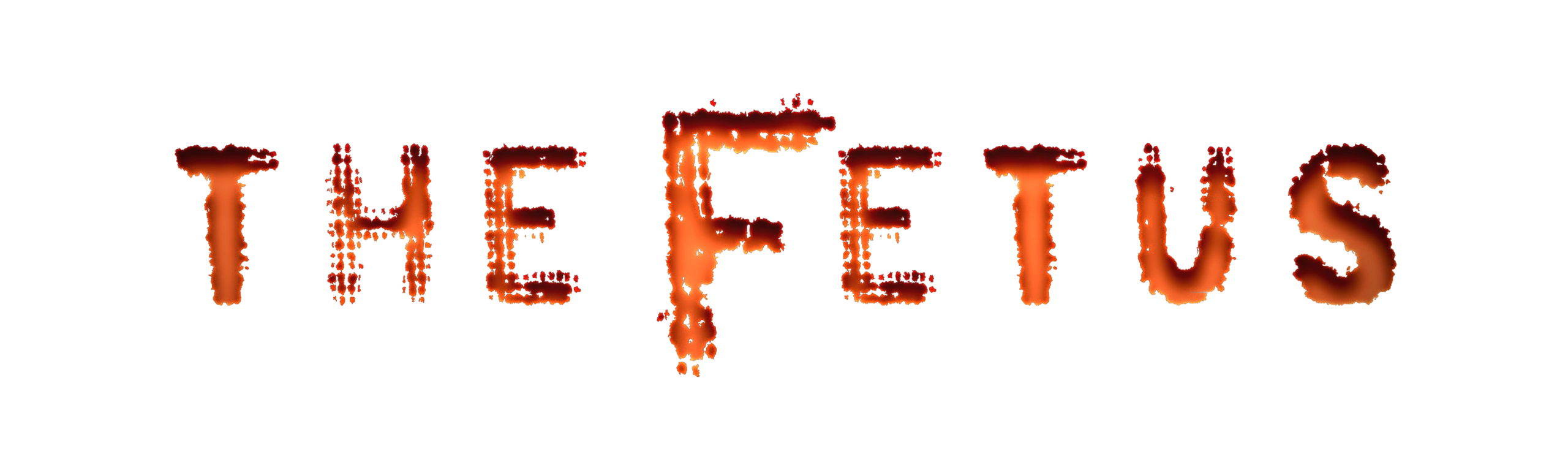 The Fetus Film