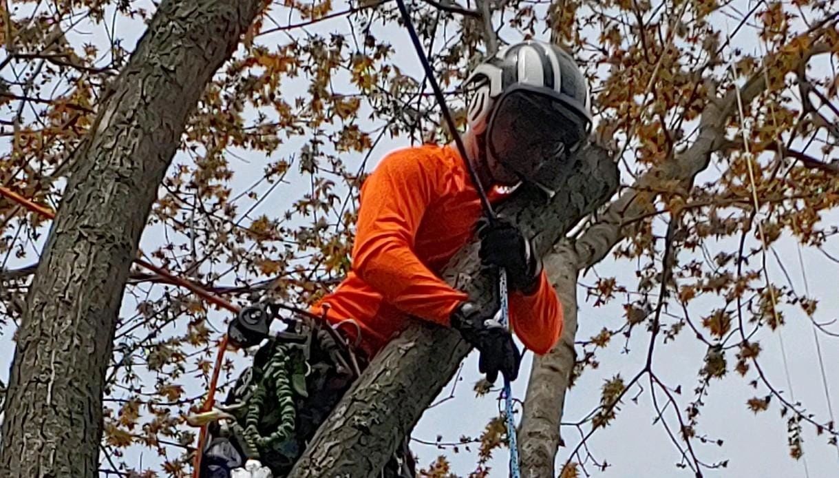 Just a Memory Removal Services LLC