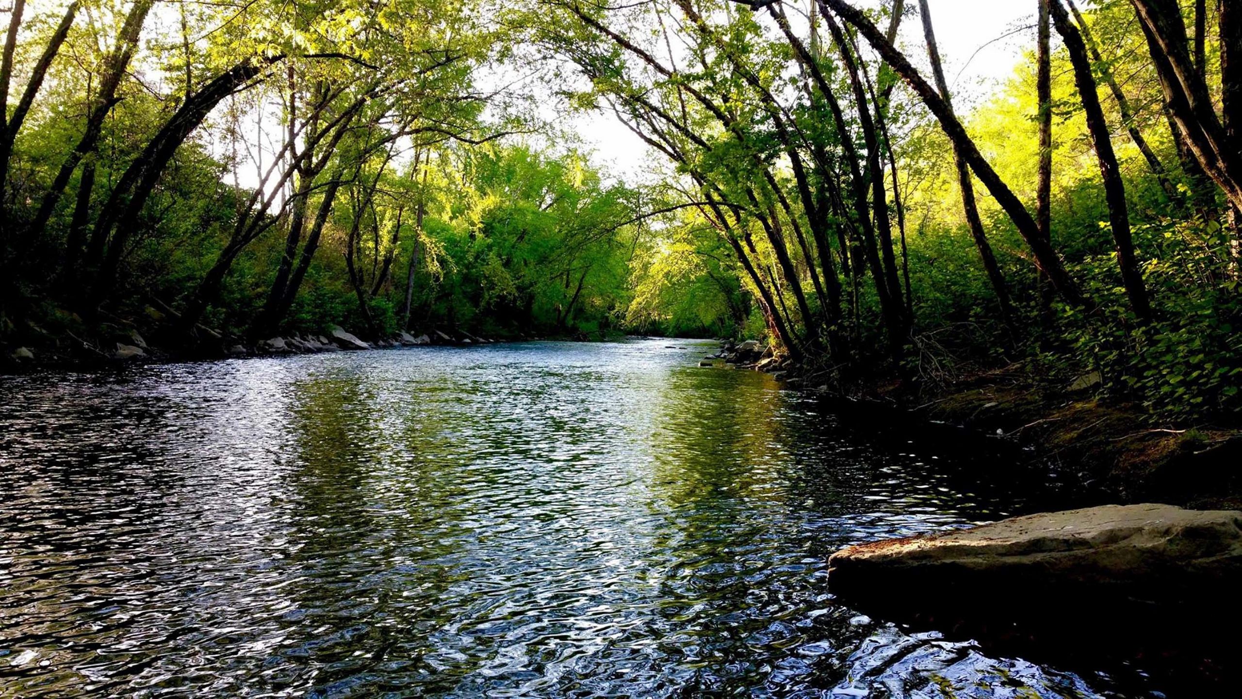Conservation, Lackawanna River - L.R.C.A. - Scranton, Pennsylvania