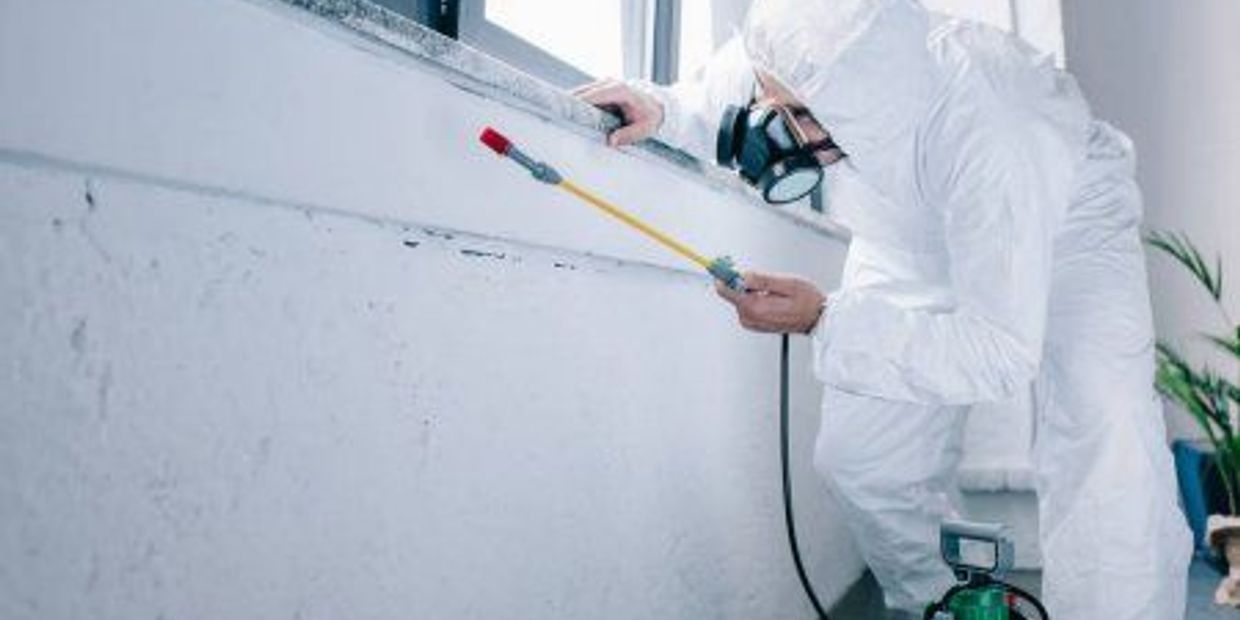 Best Vancouver Pest Control - Eastside Pest Control